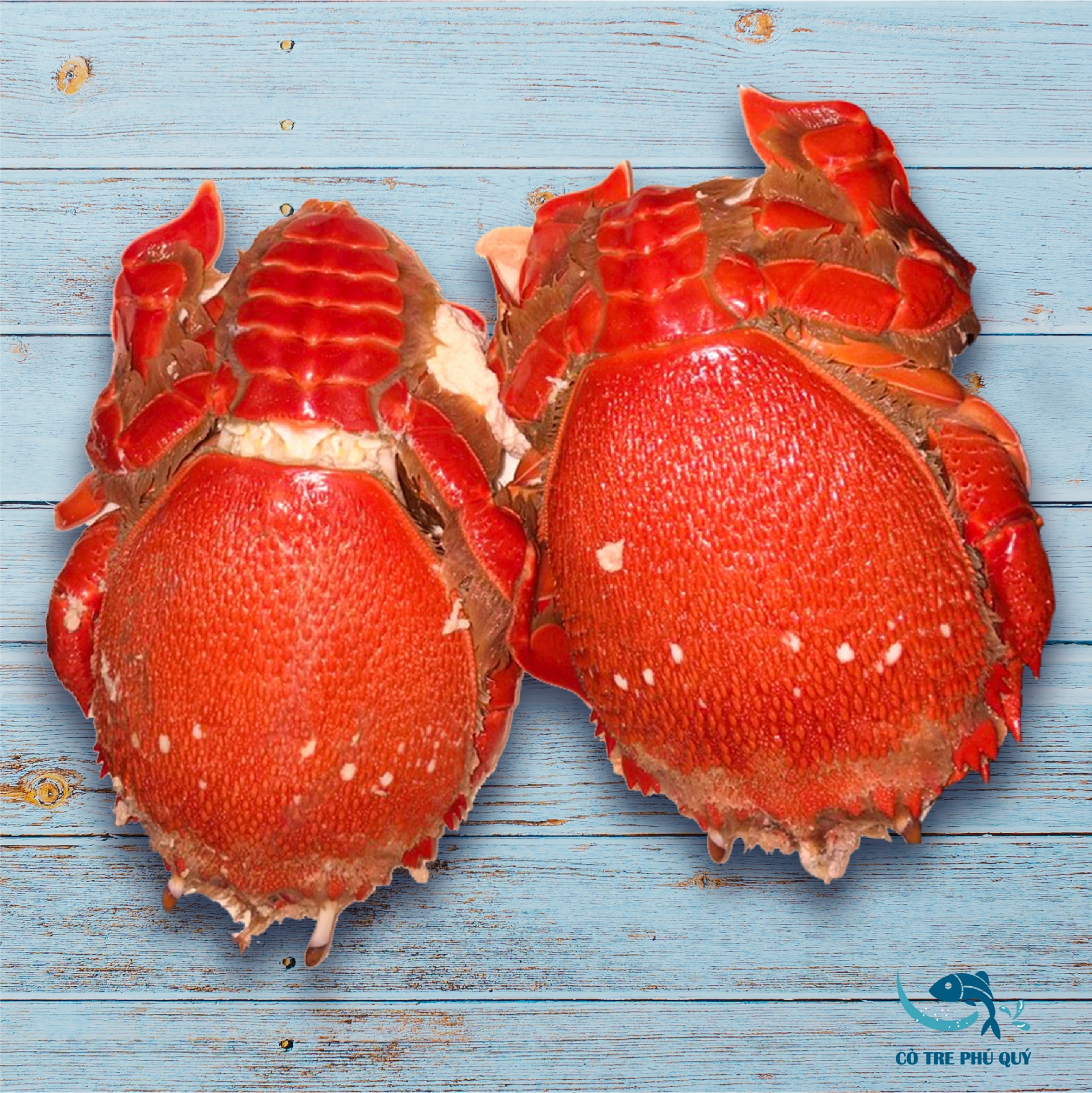 Cua Huỳnh Đế Phú Quý loại II - Cò Tre Phú Quý